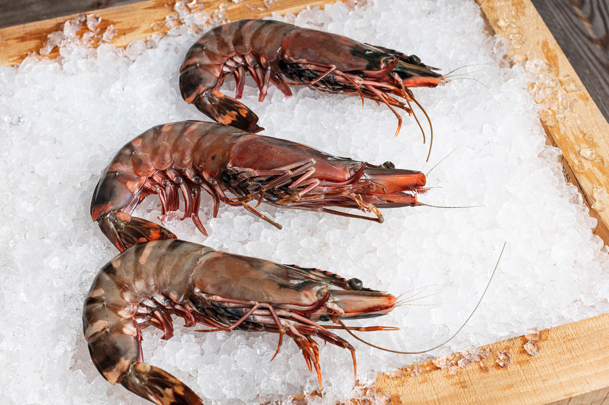 Jumbo Wild Tiger Prawns- COMING SOON – Sea Select